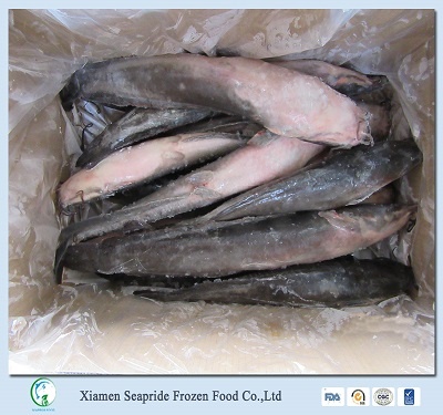 Frozen Catfish Whole Round