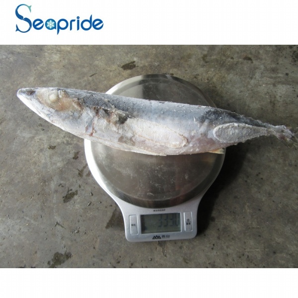 Pacific mackerel whole round